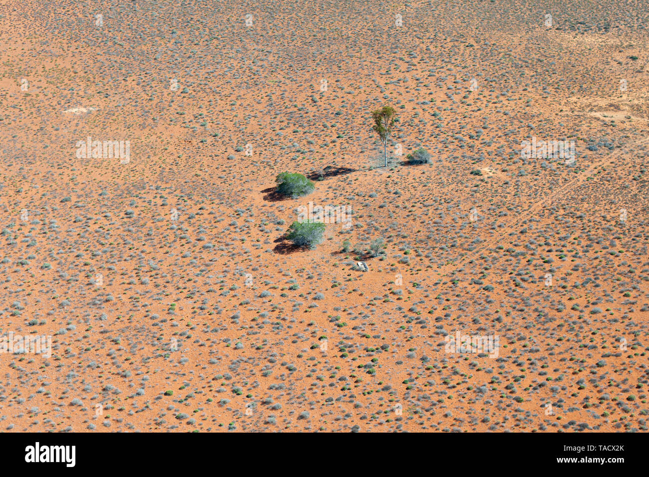 Aerial view of the terrain in the Namaqua National park in the Northern ...