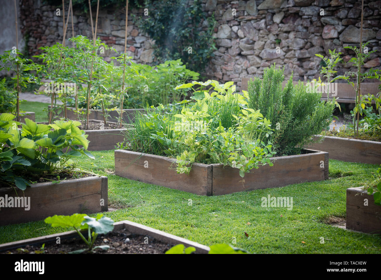 Raised herb beds hi-res stock photography and images - Alamy