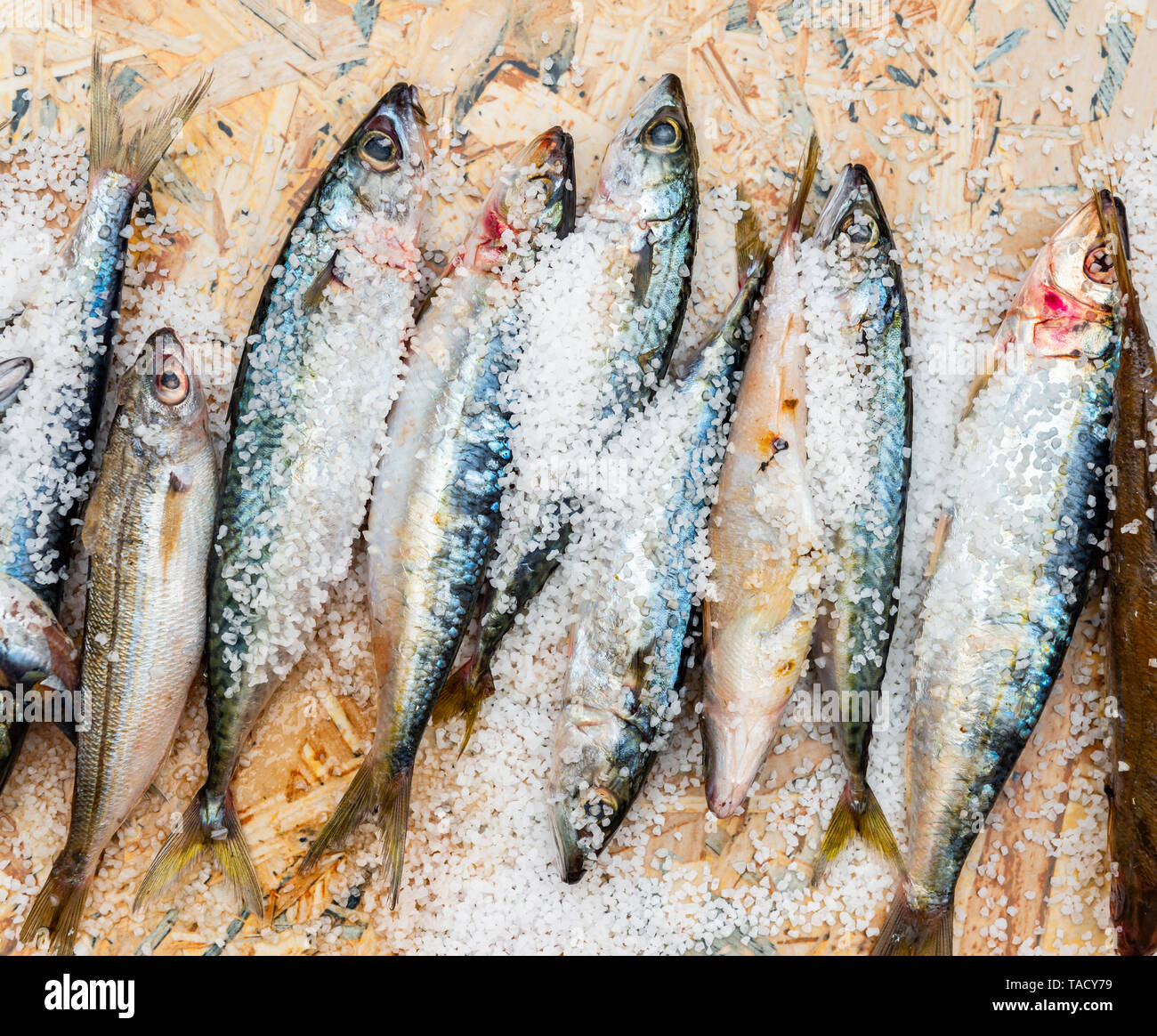Whole raw organic mackerel fish with sea salt lying on a flat surface ...