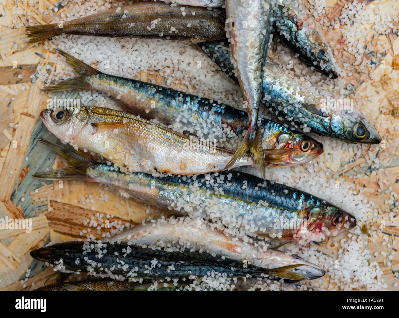 Whole raw organic mackerel fish with sea salt lying on a flat surface ...