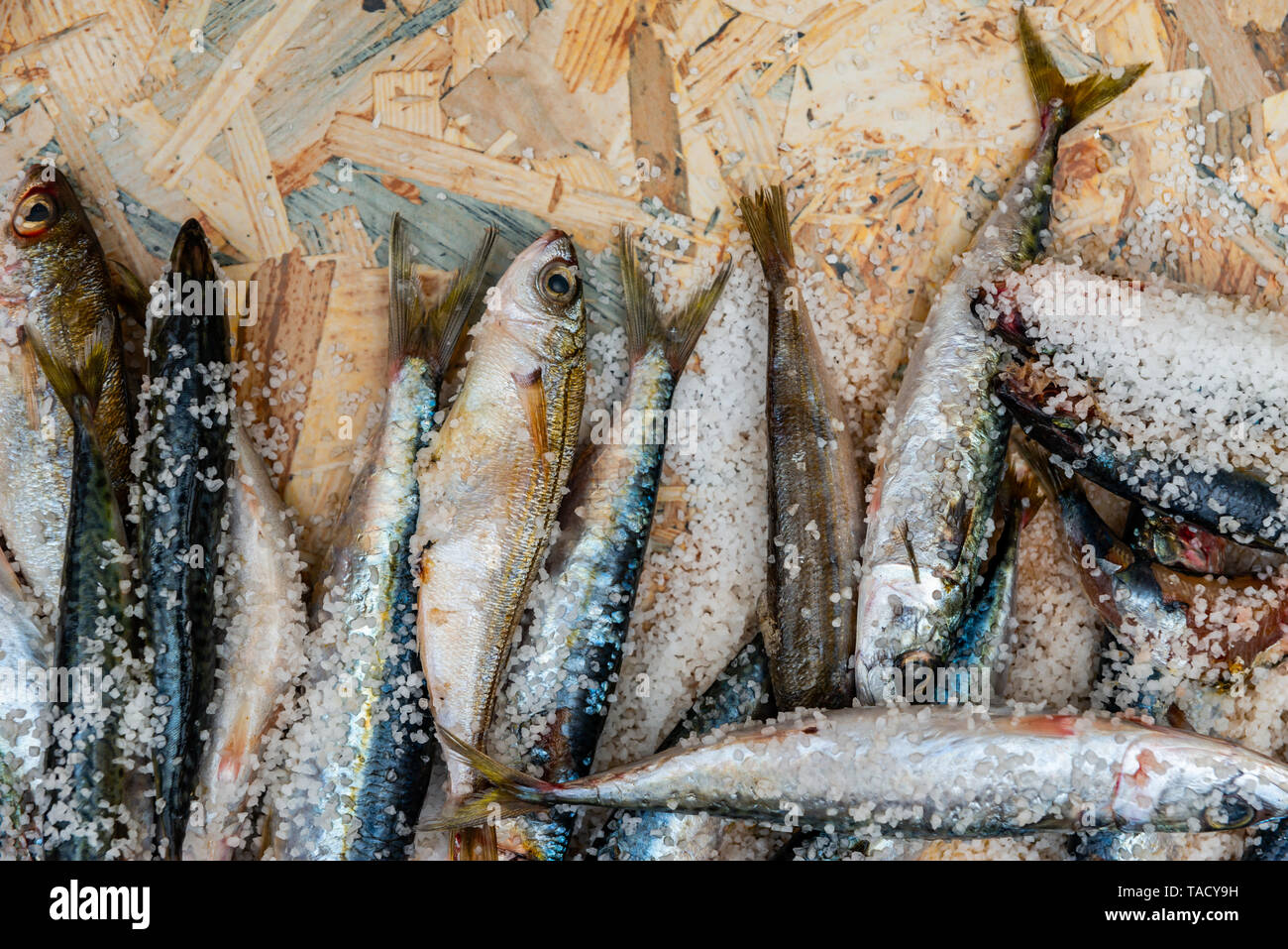 Whole raw organic mackerel fish with sea salt lying on a flat surface ...