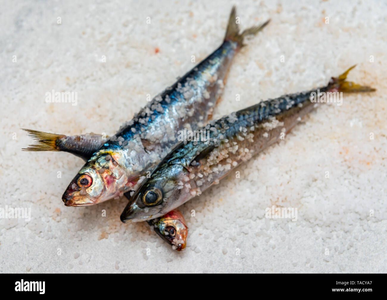 Whole raw organic mackerel fish with sea salt lying on a flat surface ...