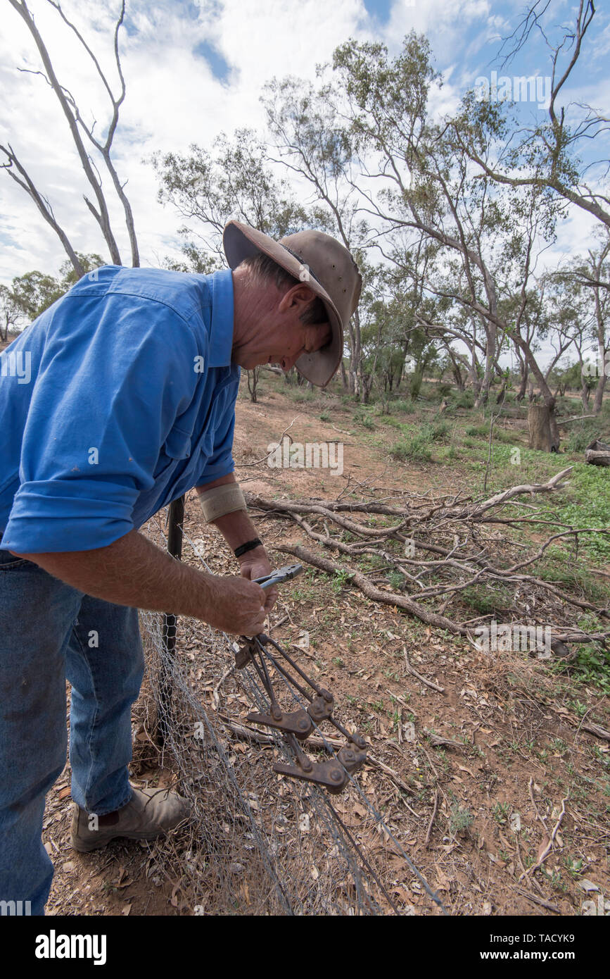 Farmer fixing a fence hi-res stock photography and images - Alamy