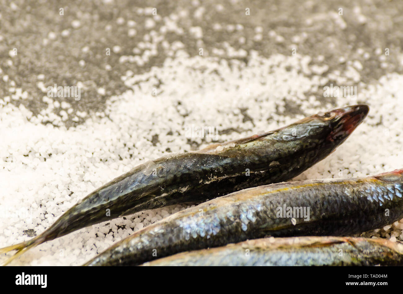 Whole raw organic mackerel fish with sea salt lying on a flat surface ...