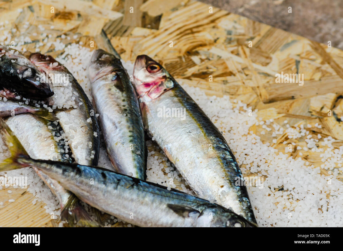 Whole raw organic mackerel fish with sea salt lying on a flat surface ...
