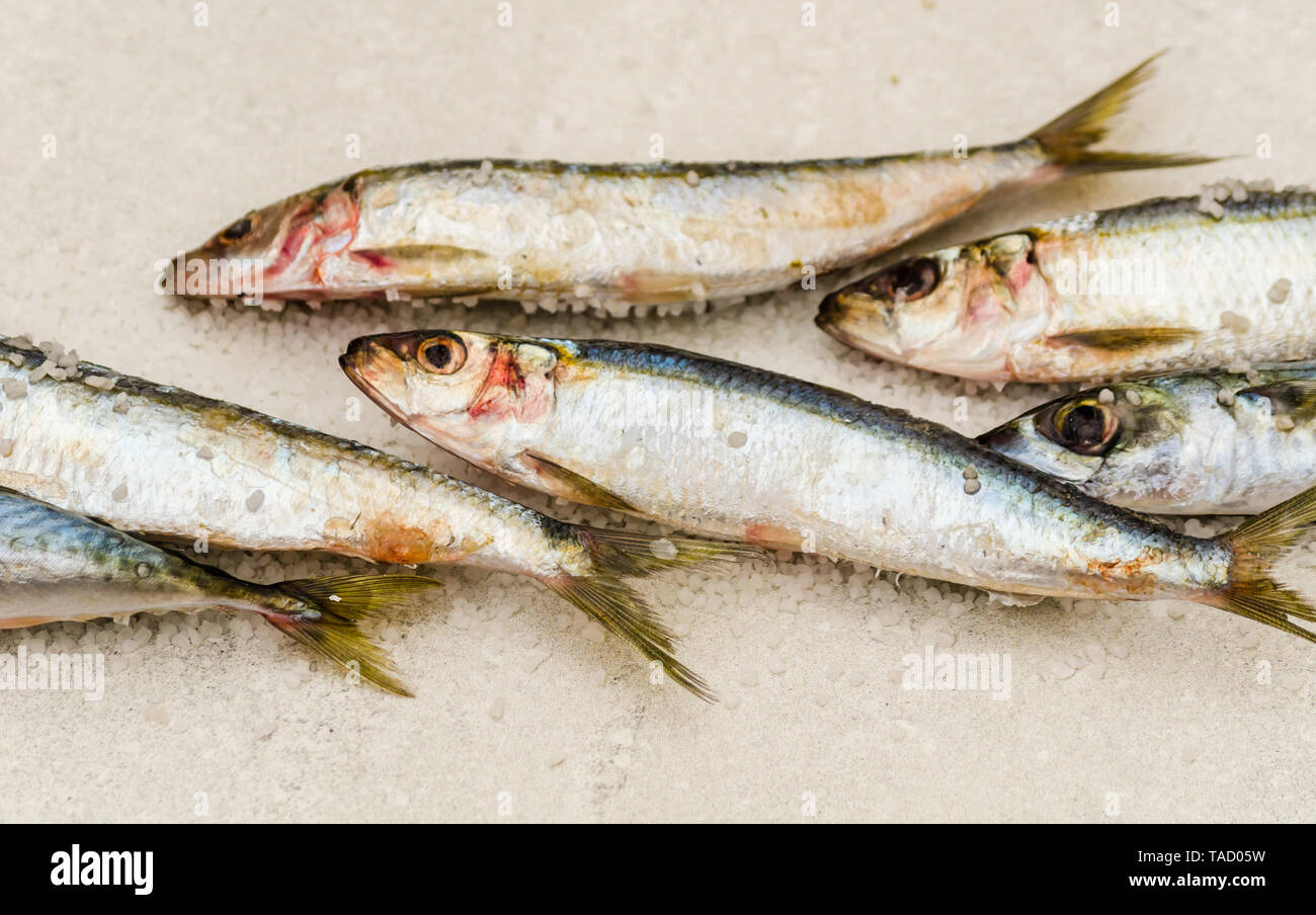 Whole raw organic mackerel fish with sea salt lying on a flat surface ...