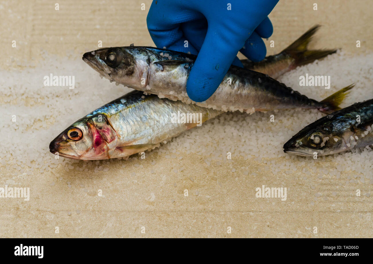 Whole raw organic mackerel fish with sea salt lying on a flat surface ...
