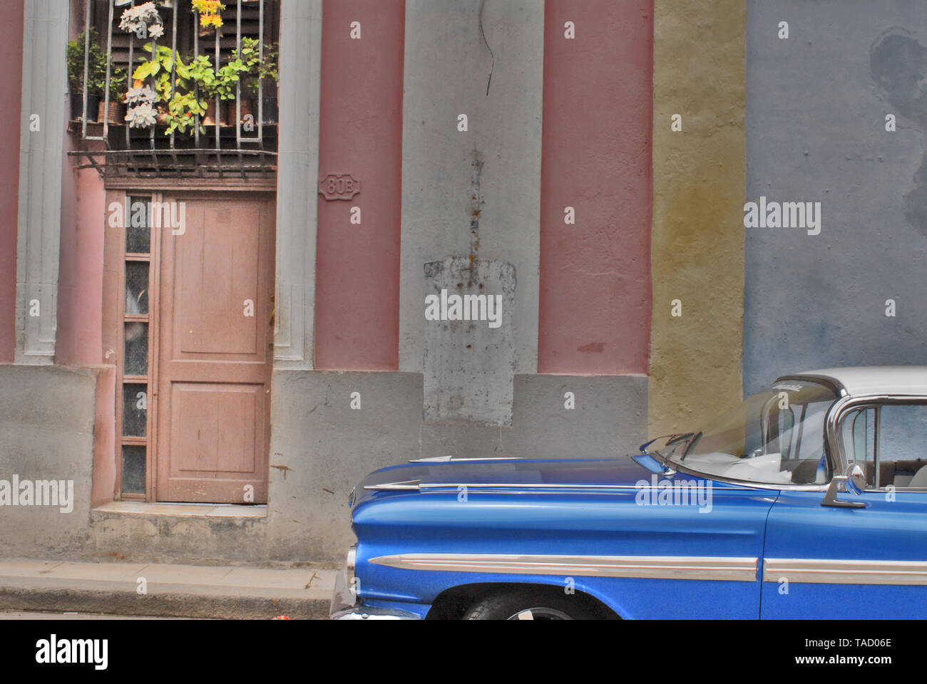 A vintage Impala against stripes of pastel colours is common sight in ...