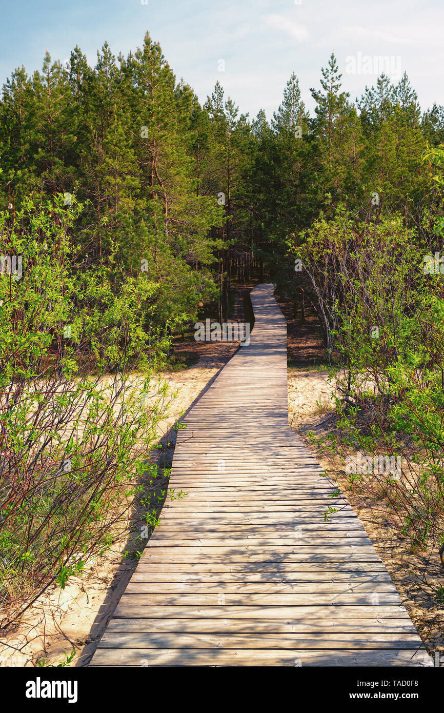 Sand path leads through hi-res stock photography and images - Alamy