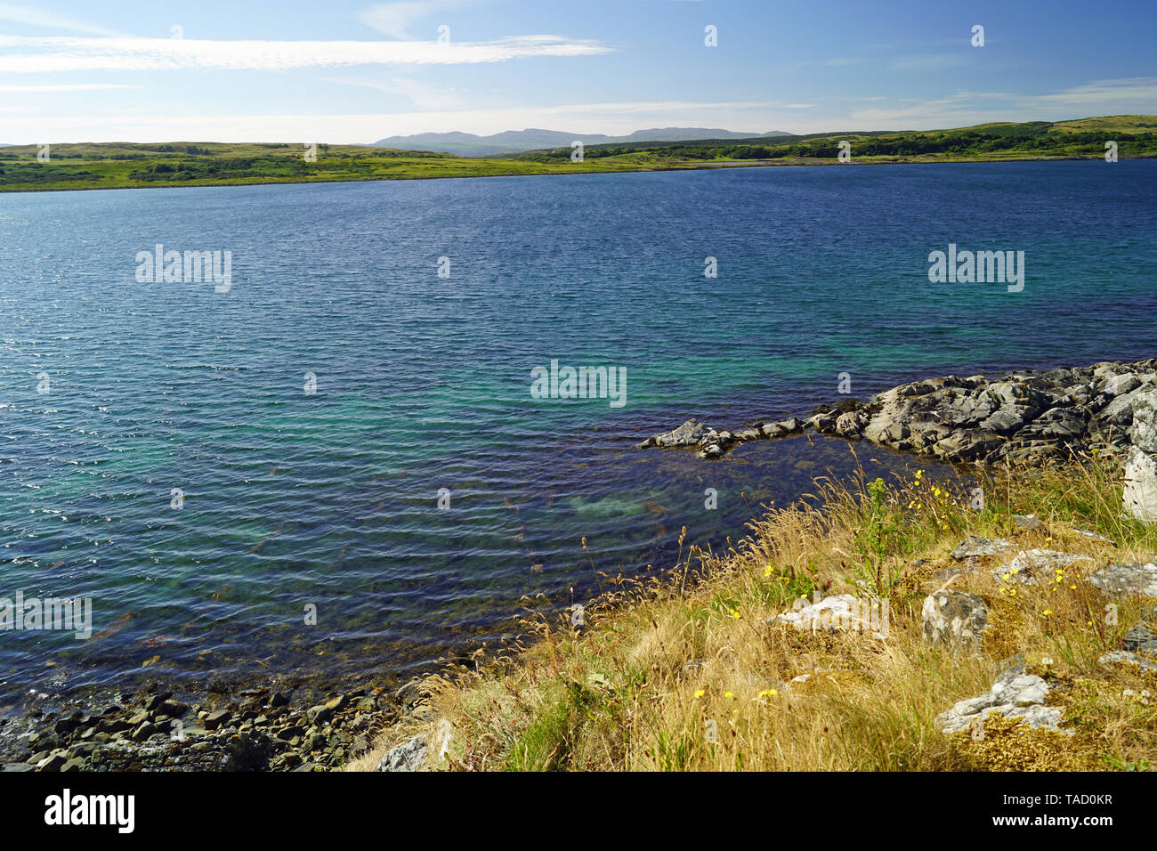 Sween hi-res stock photography and images - Alamy