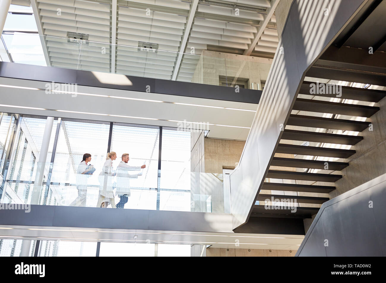 Three doctors on a gallery in the hospital or a college clinic Stock ...