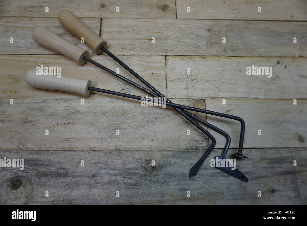 Medieval surgeons hi-res stock photography and images - Alamy