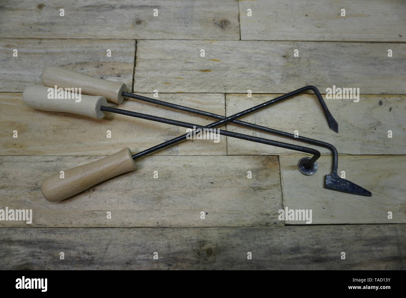 Medieval surgeons hi-res stock photography and images - Alamy