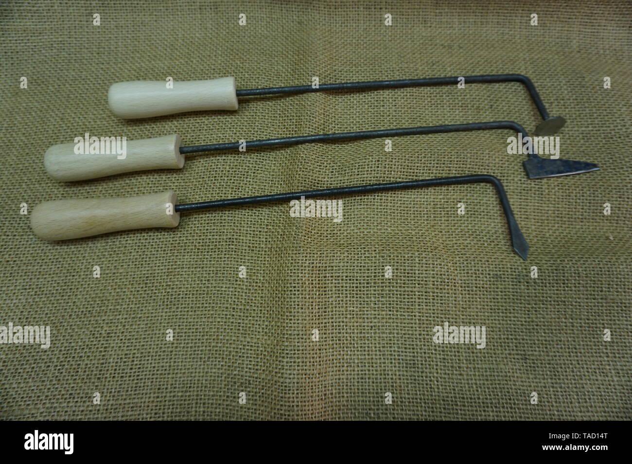 Medieval Surgeons High Resolution Stock Photography and Images - Alamy