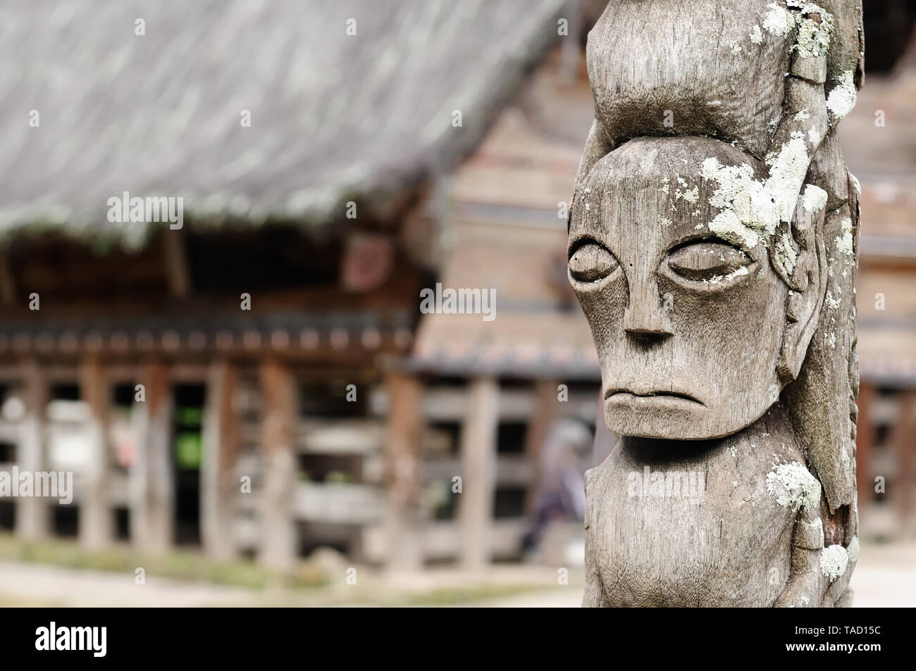 Batak ancient sculptures carved from wood of the village in the area of ...