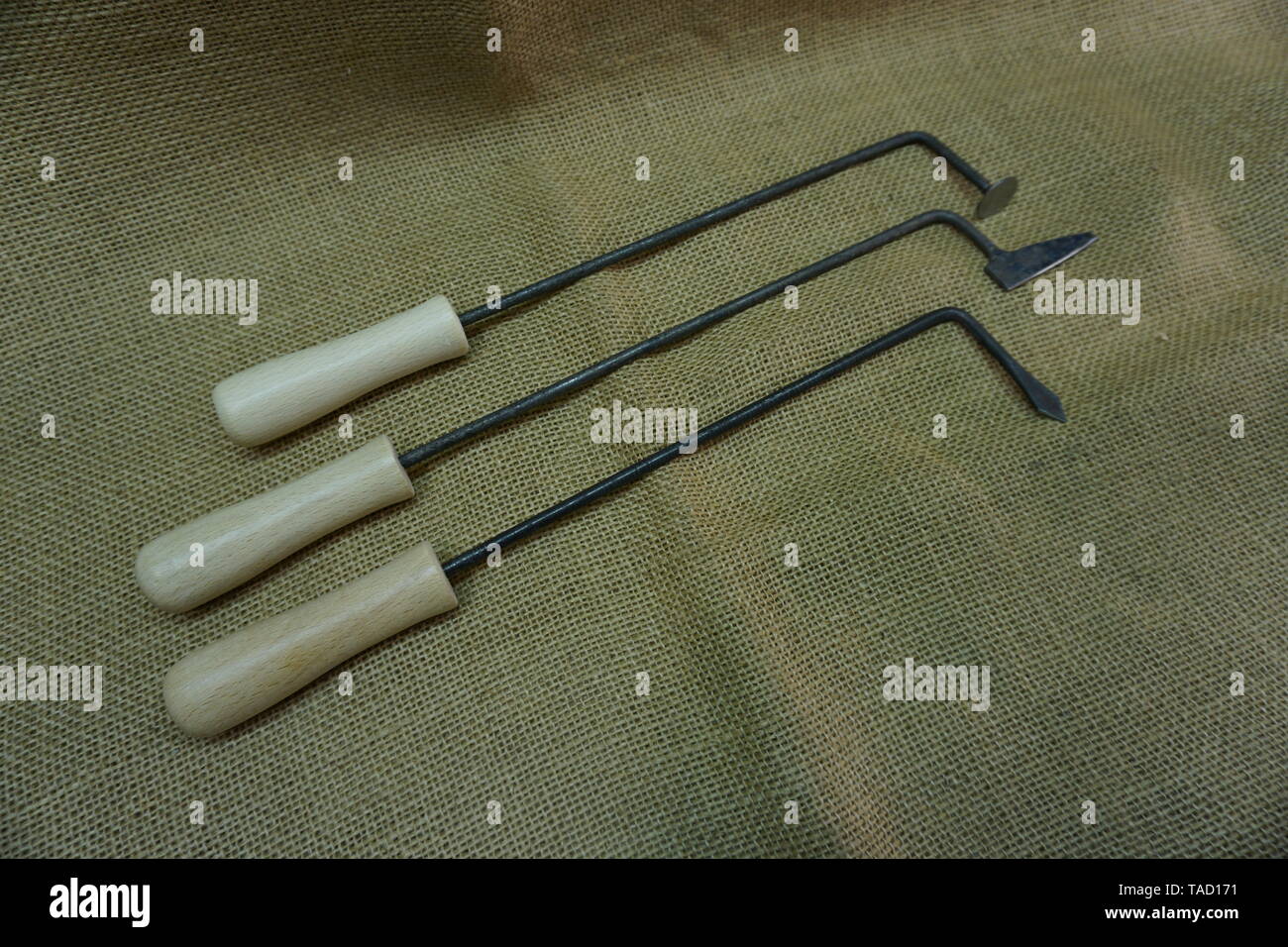 Medieval surgeons hi-res stock photography and images - Alamy