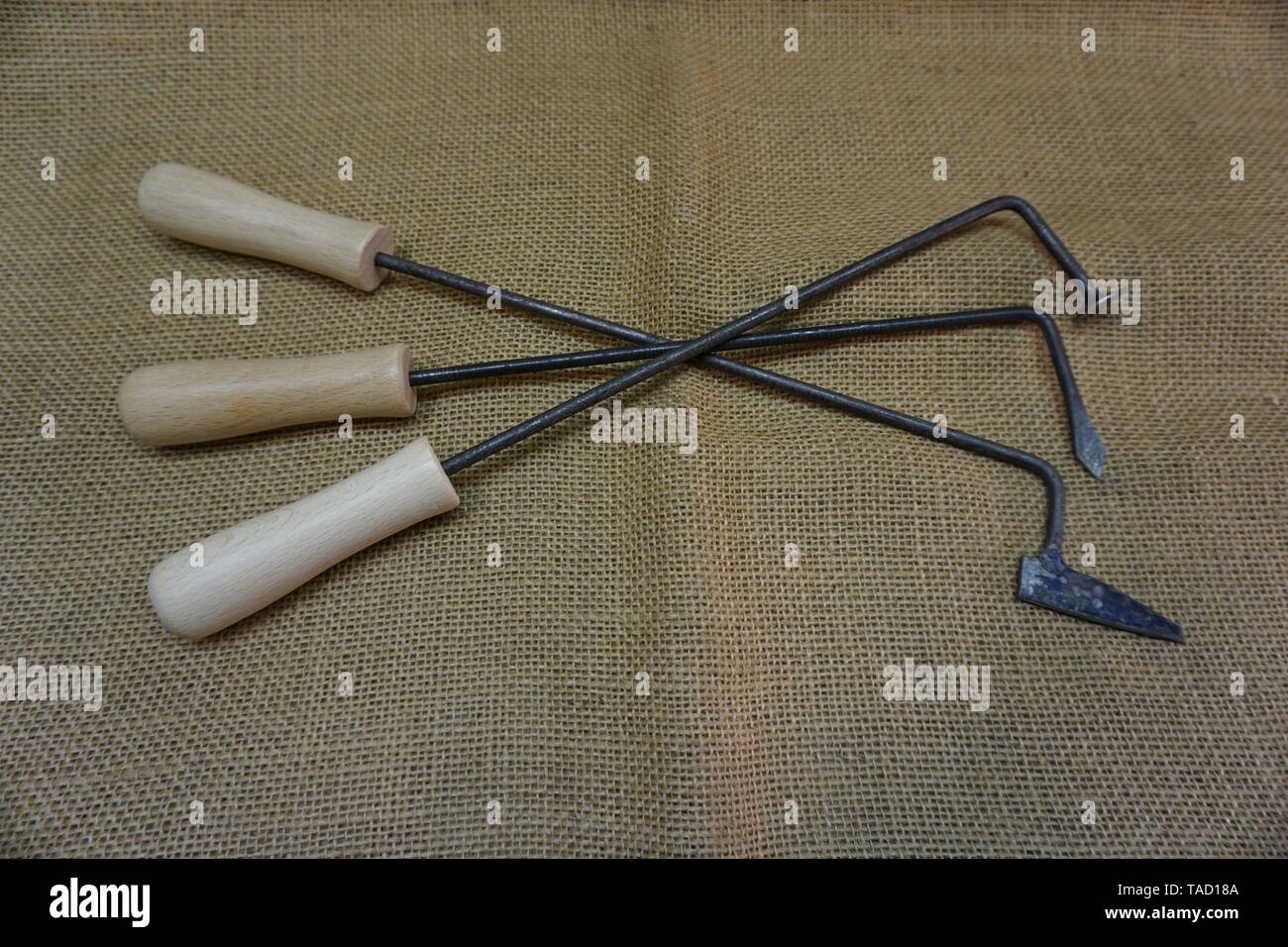 Medieval surgeons hi-res stock photography and images - Alamy