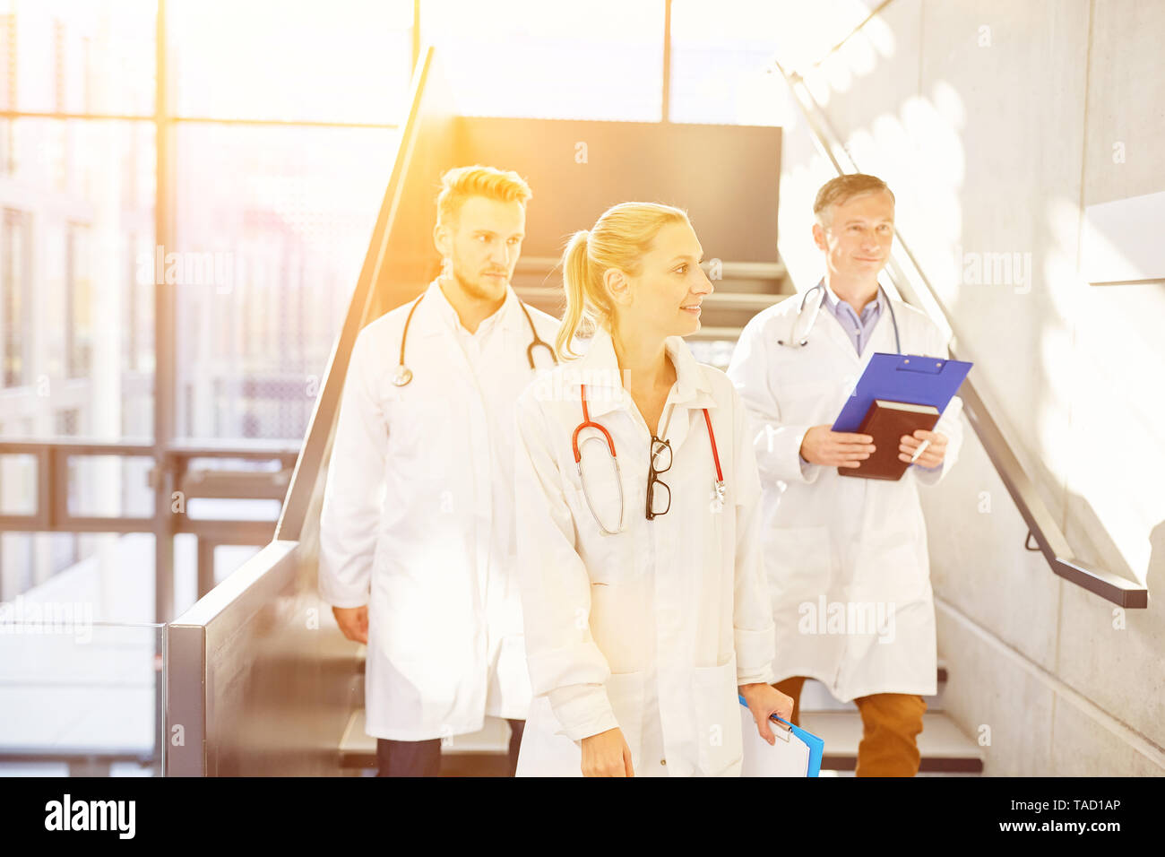 Competent staff hi-res stock photography and images - Alamy