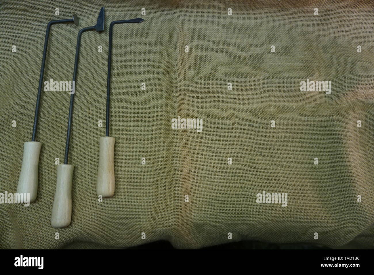 Cautery in medieval surgery: a unique palaeopathological case