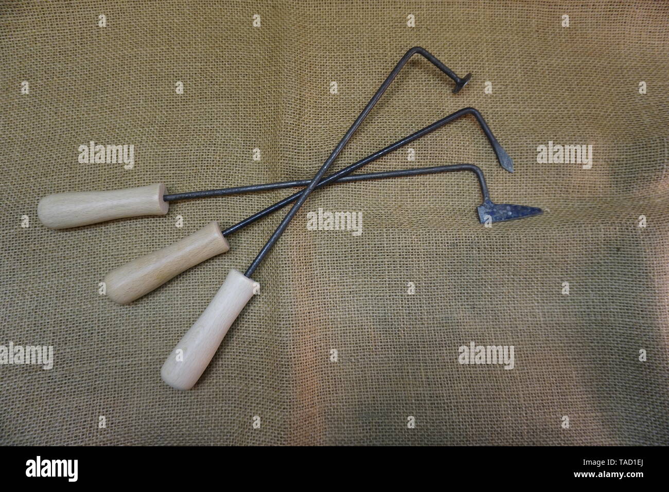 Medieval Surgeons High Resolution Stock Photography and Images - Alamy