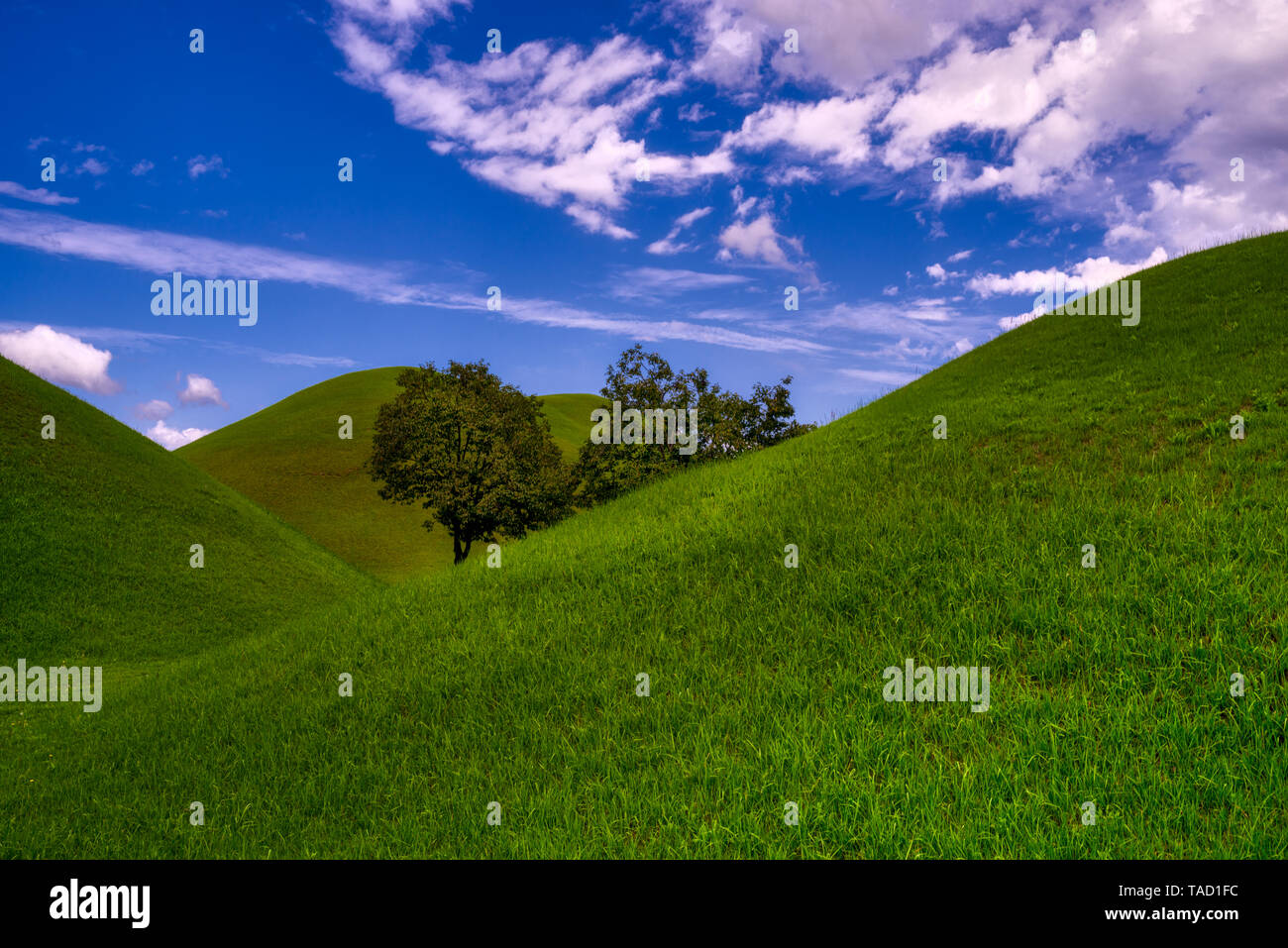 Vertical conceptual view of a hill and sky with clouds in the Gyeongju ...