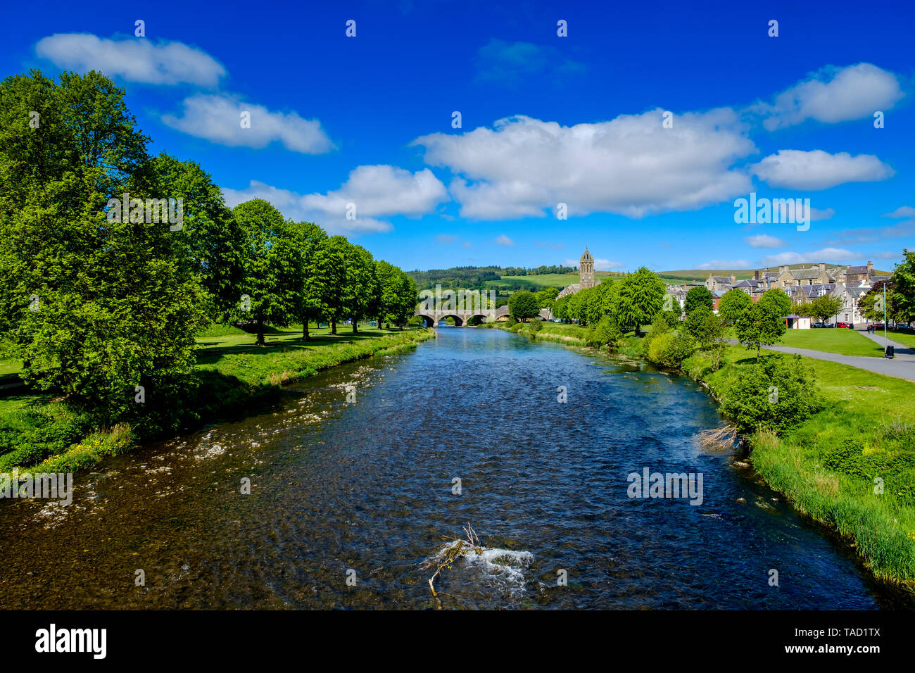 The River Tweed as it flows through the Scottish Borders town of ...