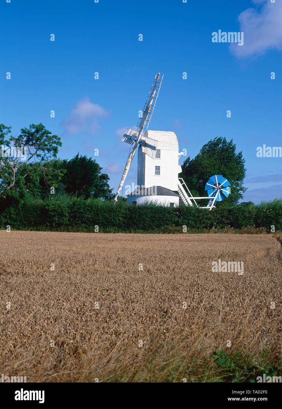 Windmill fantail hi-res stock photography and images - Alamy