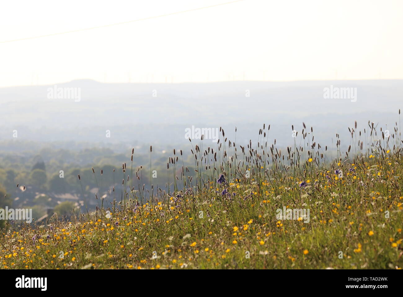 Hay meadow pennine hi-res stock photography and images - Alamy
