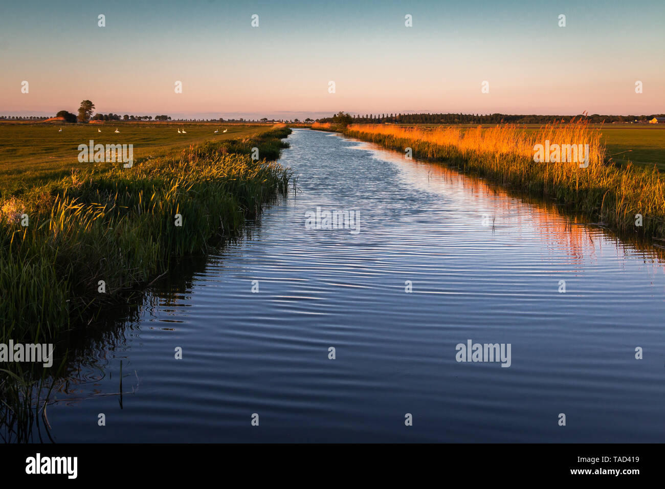 Beautiful ditch in the Netherlands, province Friesland, region ...