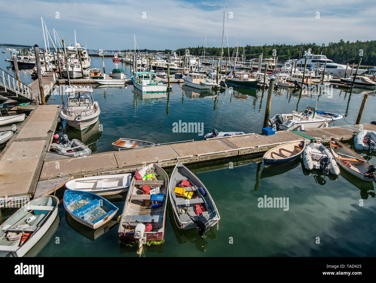 Maine Marina: Boats of many types, large and small, gather at a marina ...