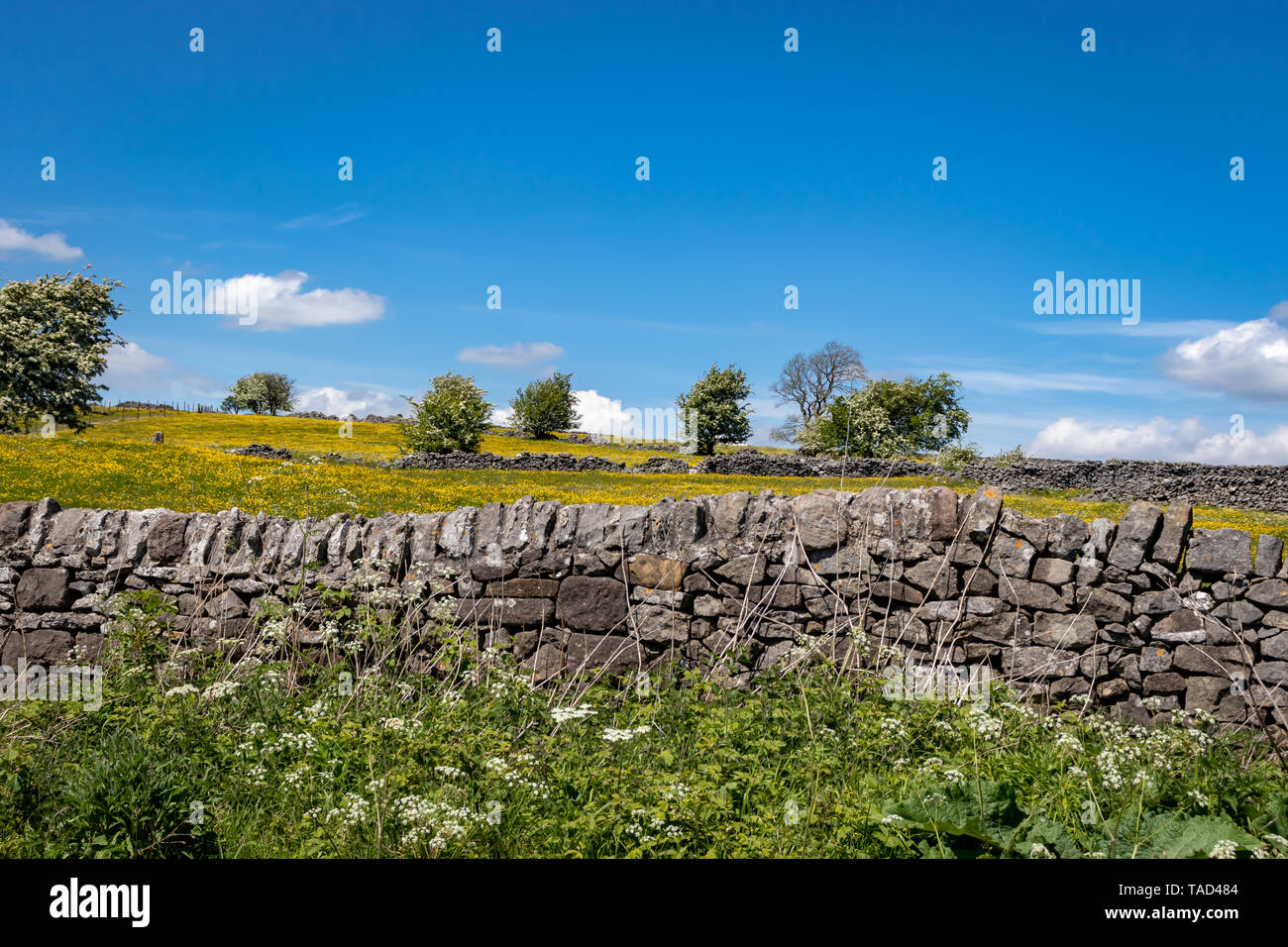 Redhill parking hi-res stock photography and images - Alamy