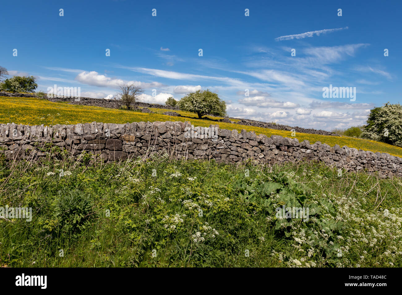 Redhill parking hi-res stock photography and images - Alamy