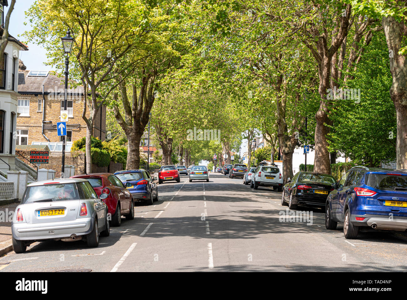Alexandra Road tree lined leafy road in Southend on Sea, Essex, UK ...
