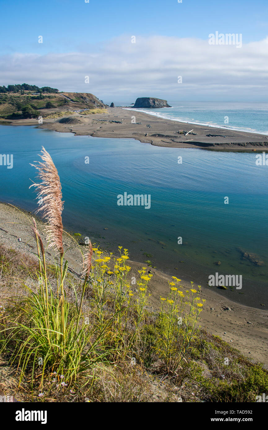 River flowing into the ocean hi-res stock photography and images - Alamy