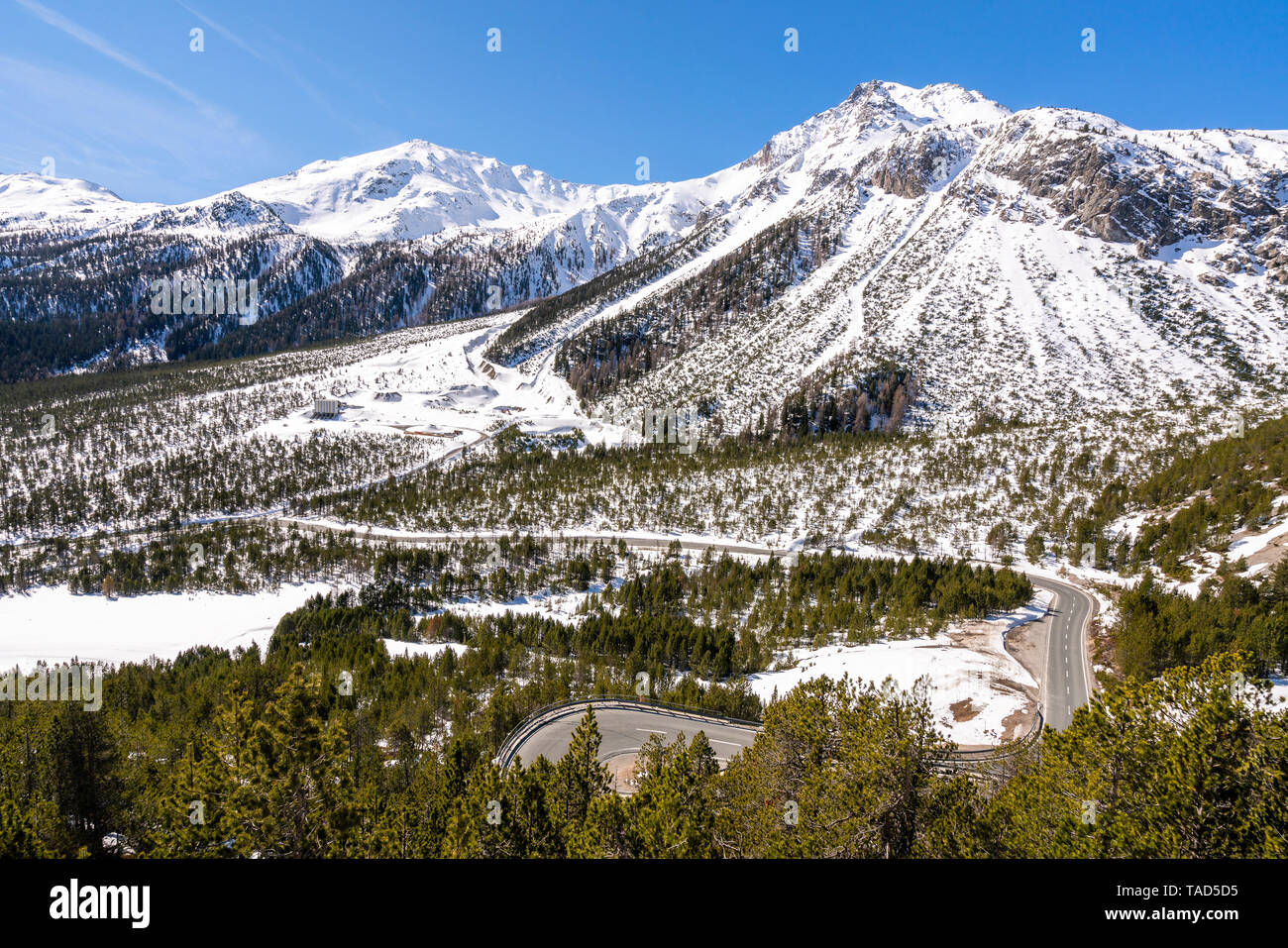 Switzerland, Val Muestair, Fuorn Pass Stock Photo - Alamy