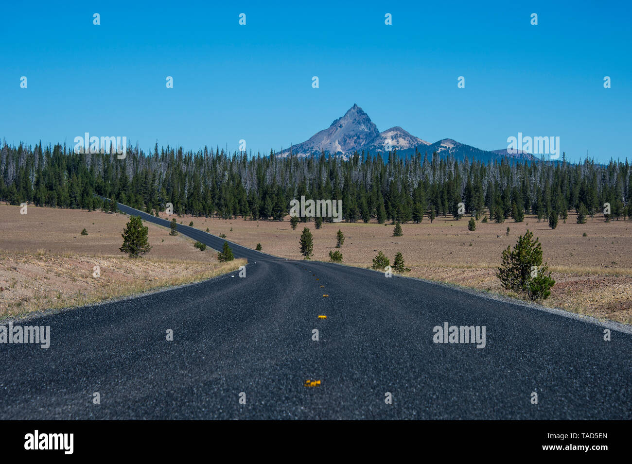 Long road hi-res stock photography and images - Alamy