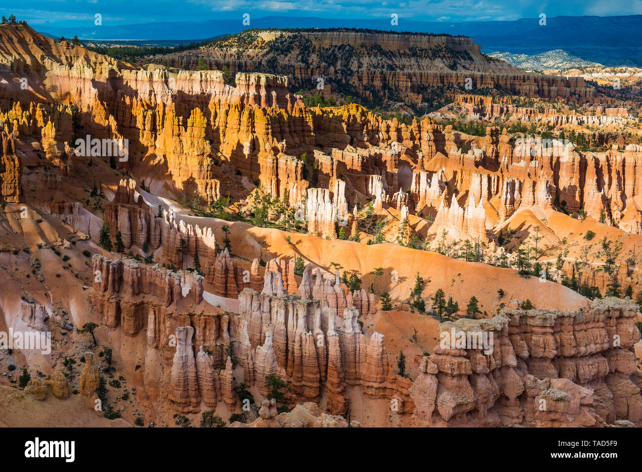 Bizarre sandstone formations hi-res stock photography and images - Alamy