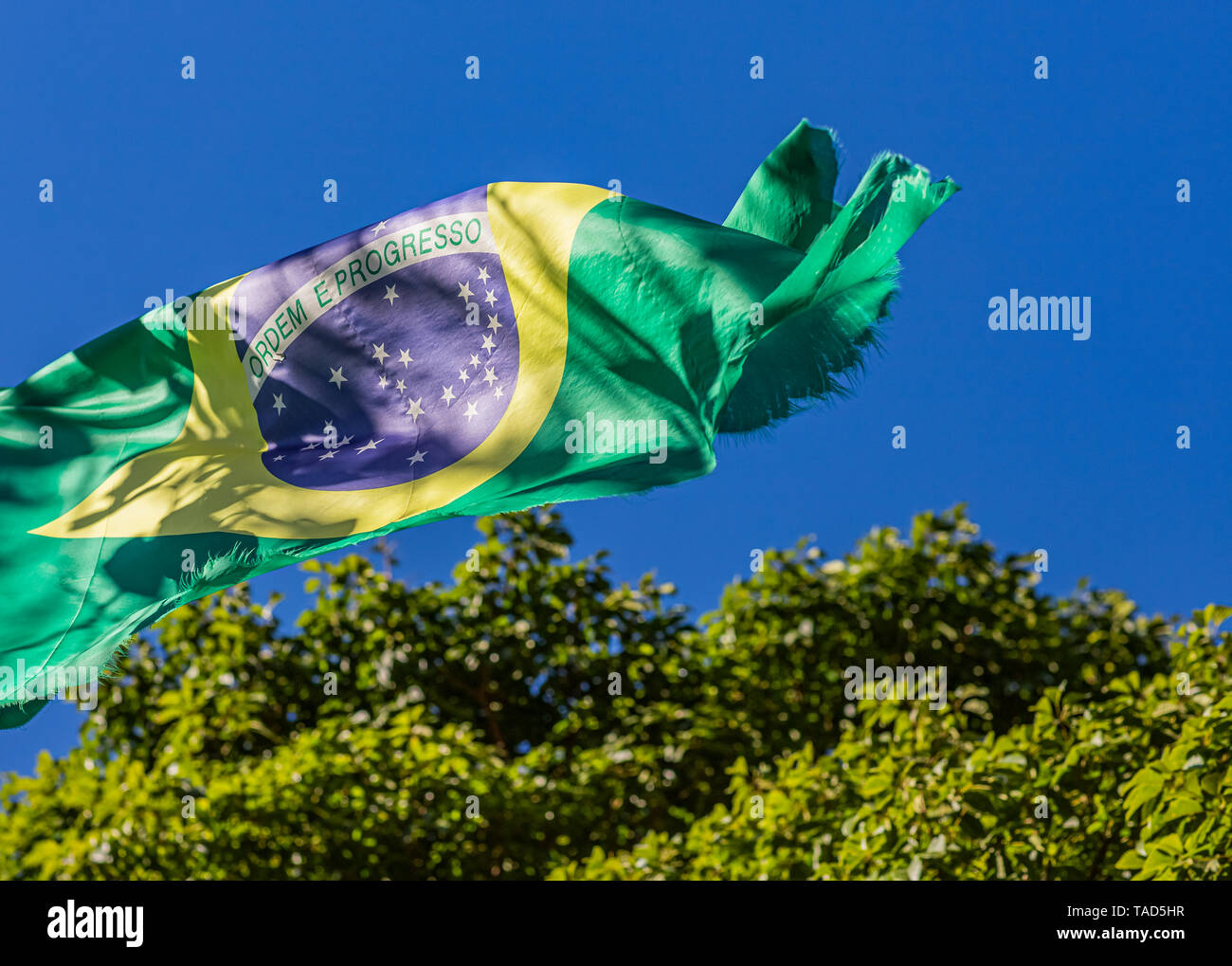 Flag in the wind. Green, yellow and blue flag. Brazilian flag Stock ...