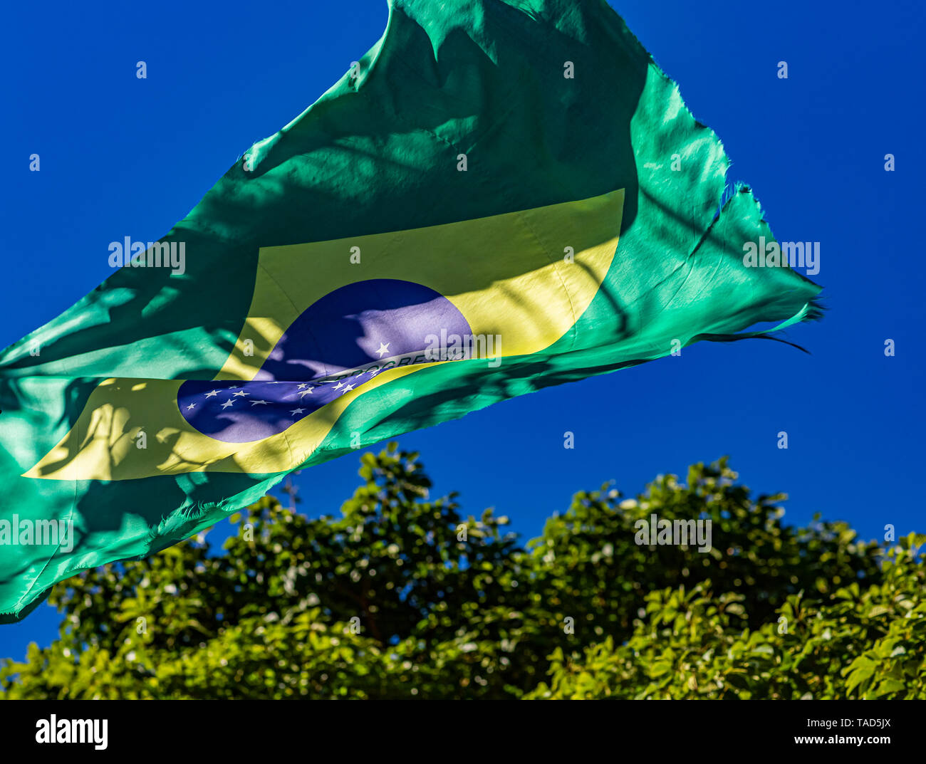 Flag of Brazil torn. Flag of Brazil blowing on a background of nature ...