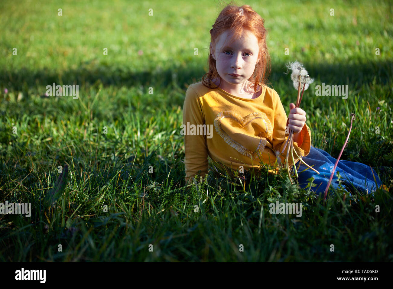 Portrait girl sitting in field hi-res stock photography and images - Alamy