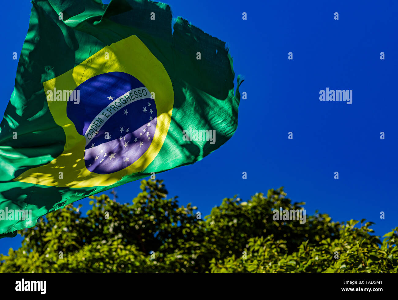 Flag of Brazil torn. Flag of Brazil blowing on a background of nature ...