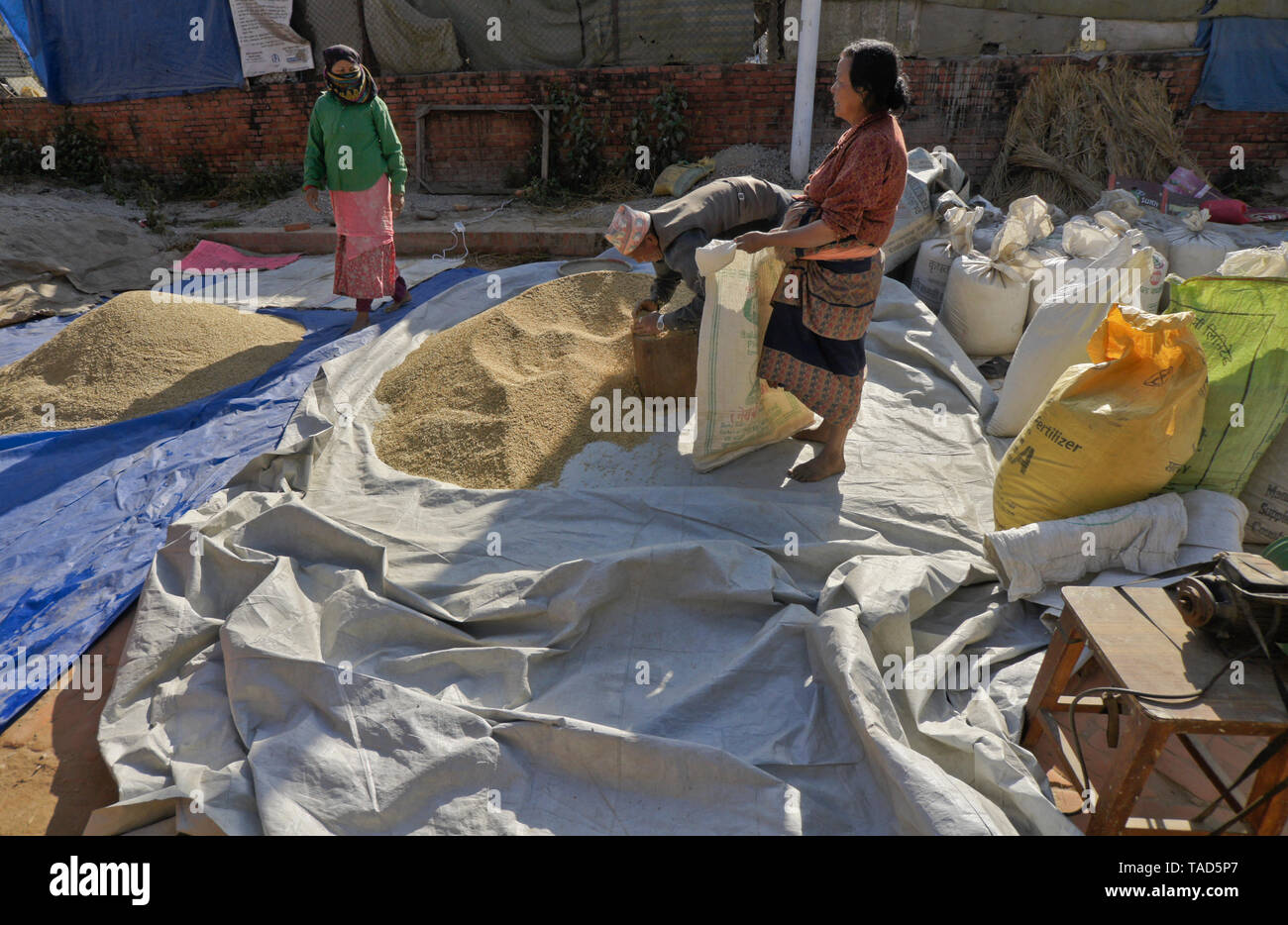 Asian rice farmers hi-res stock photography and images - Alamy