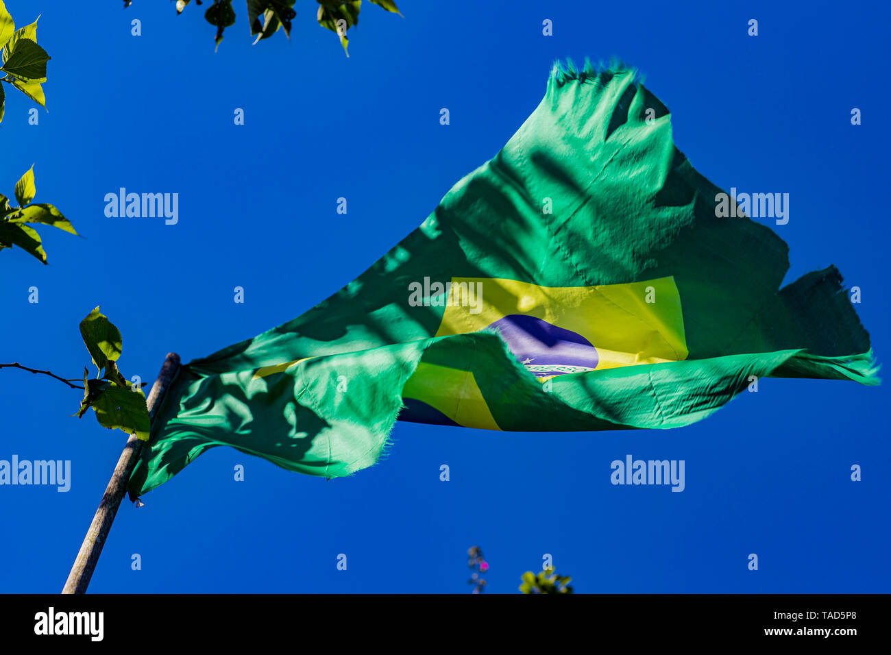 Flag in the wind. Green, yellow and blue flag. Brazilian flag Stock ...