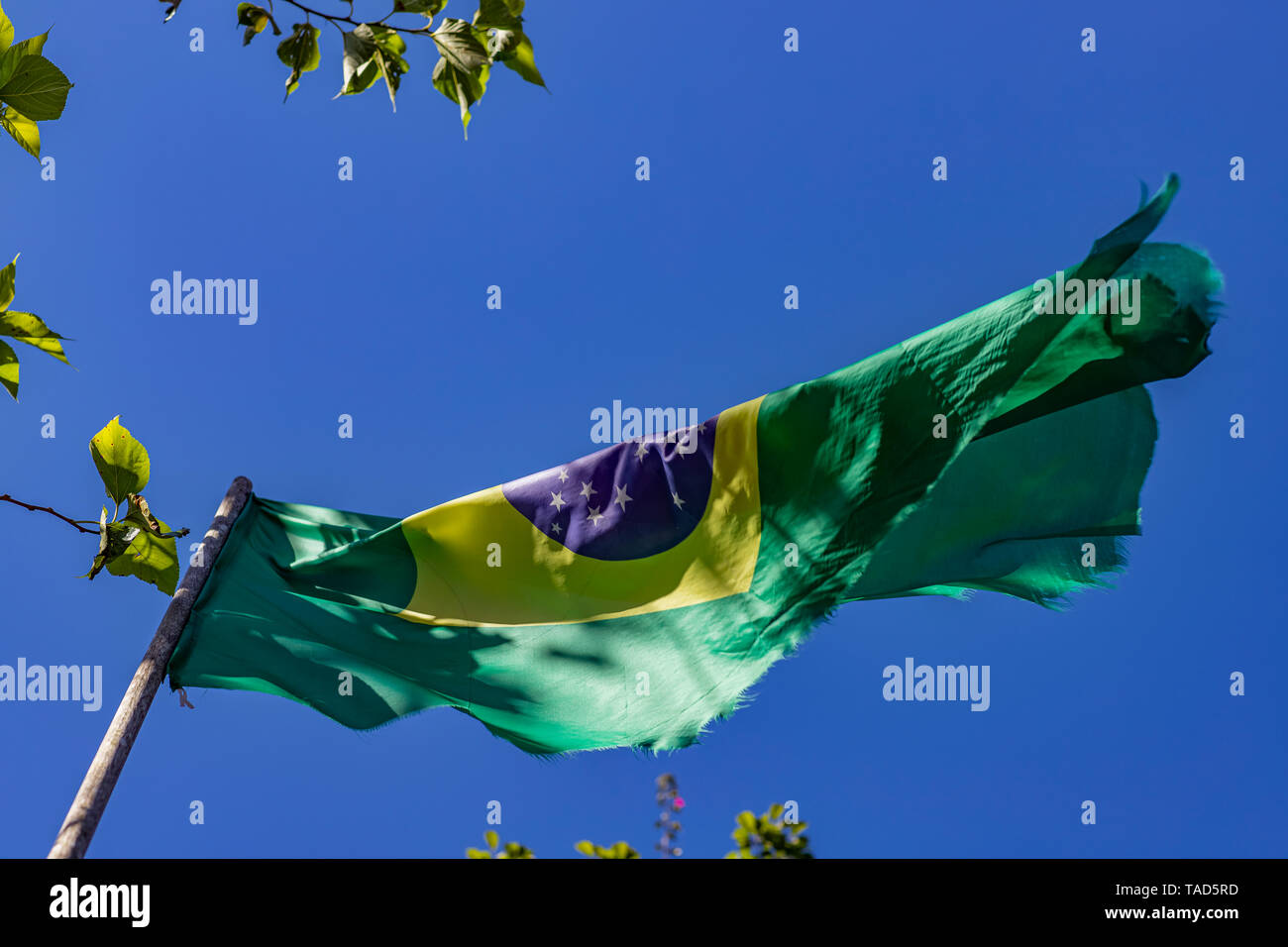 Flag in the wind. Green, yellow and blue flag. Brazilian flag Stock ...
