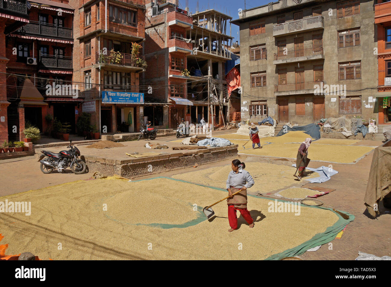 Farmer crop nepal hi-res stock photography and images - Alamy