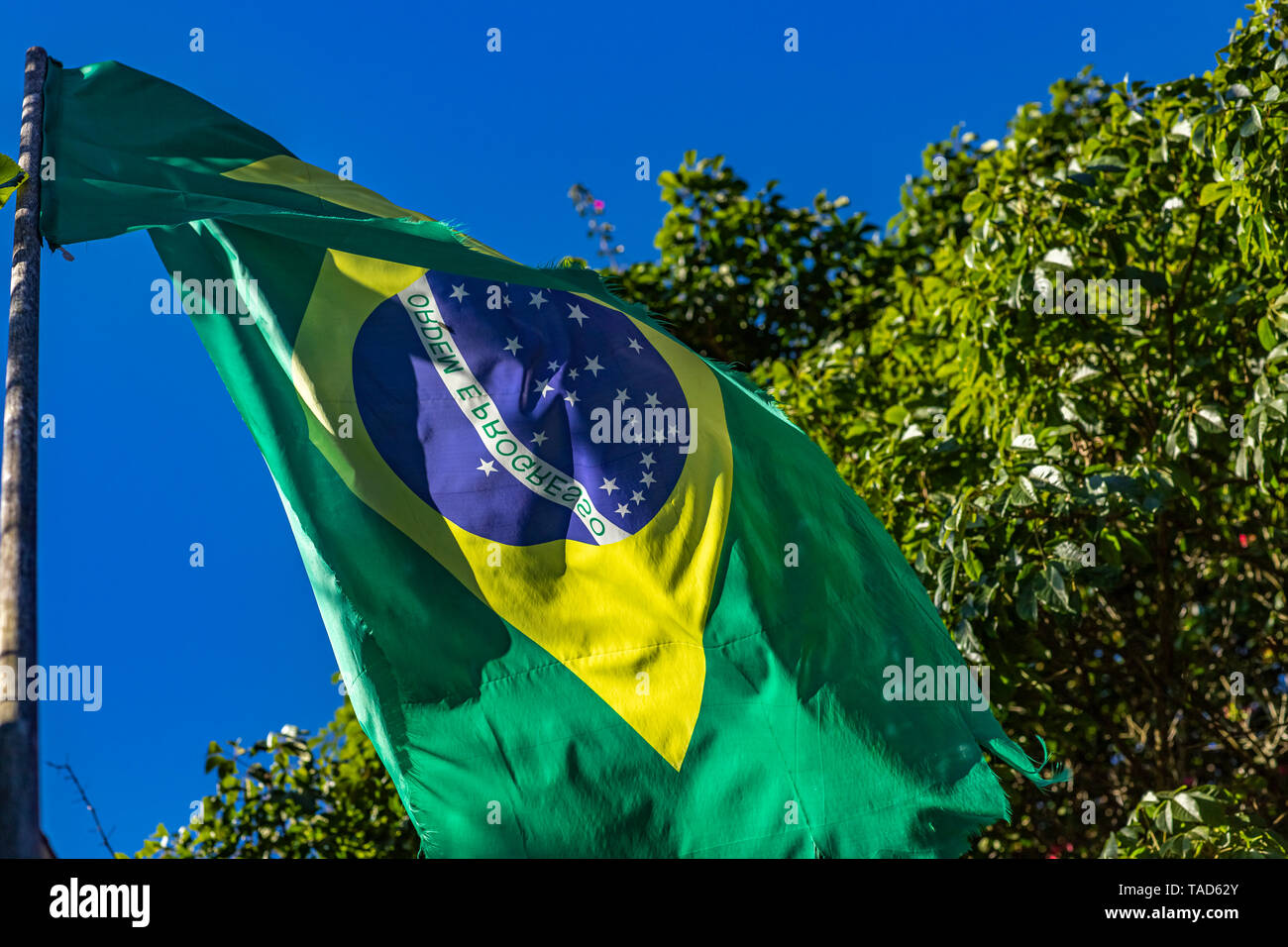 Flag of Brazil torn. Flag of Brazil blowing on a background of nature ...