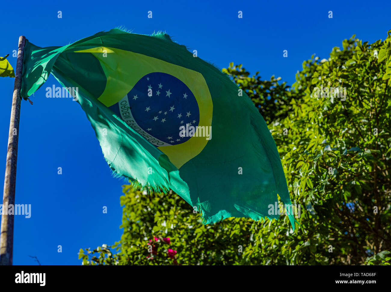 Flag in the wind. Green, yellow and blue flag. Brazilian flag Stock ...