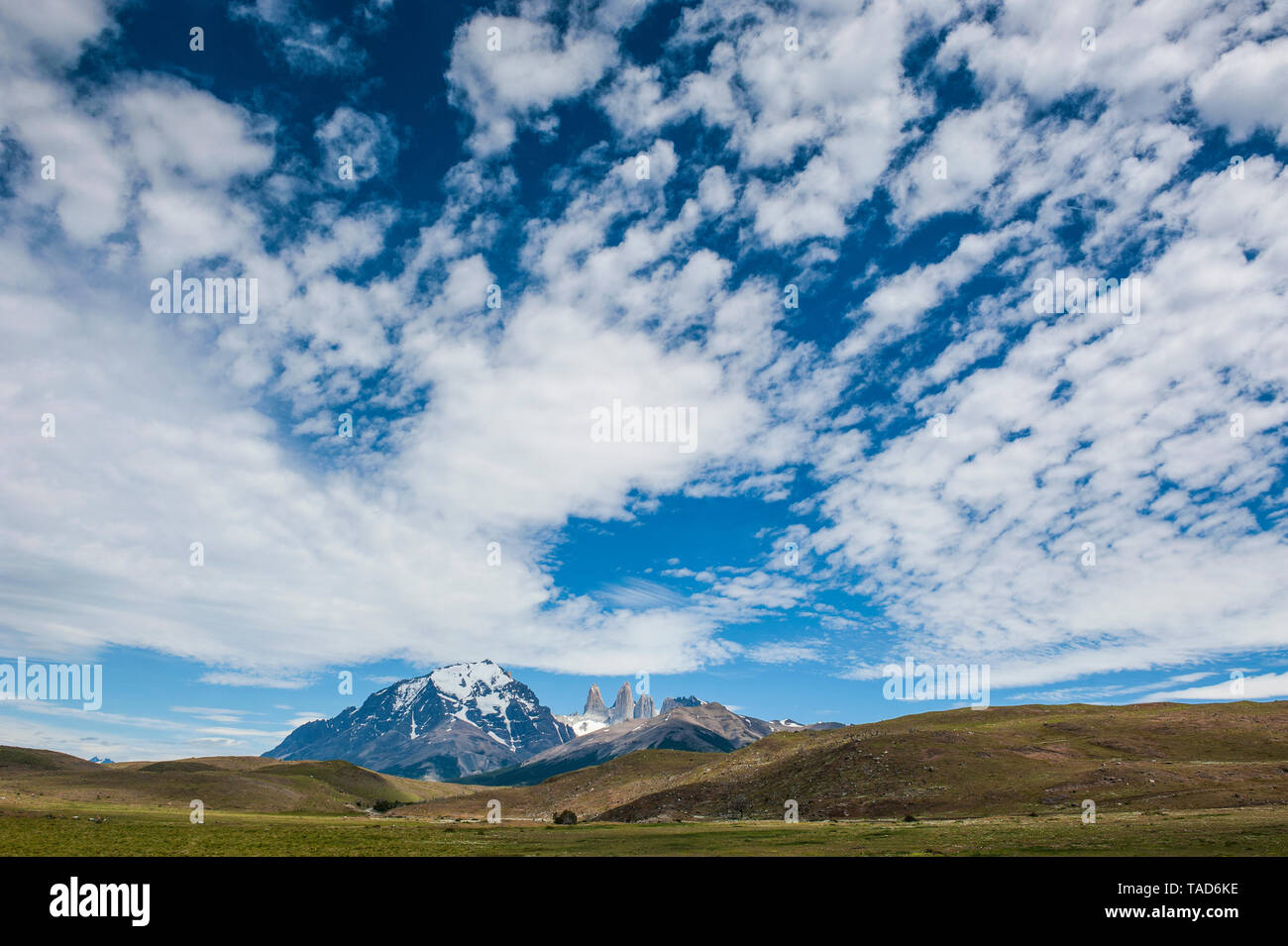Chile, Patagonia, Torres del Paine National Park, meadow and mountains ...
