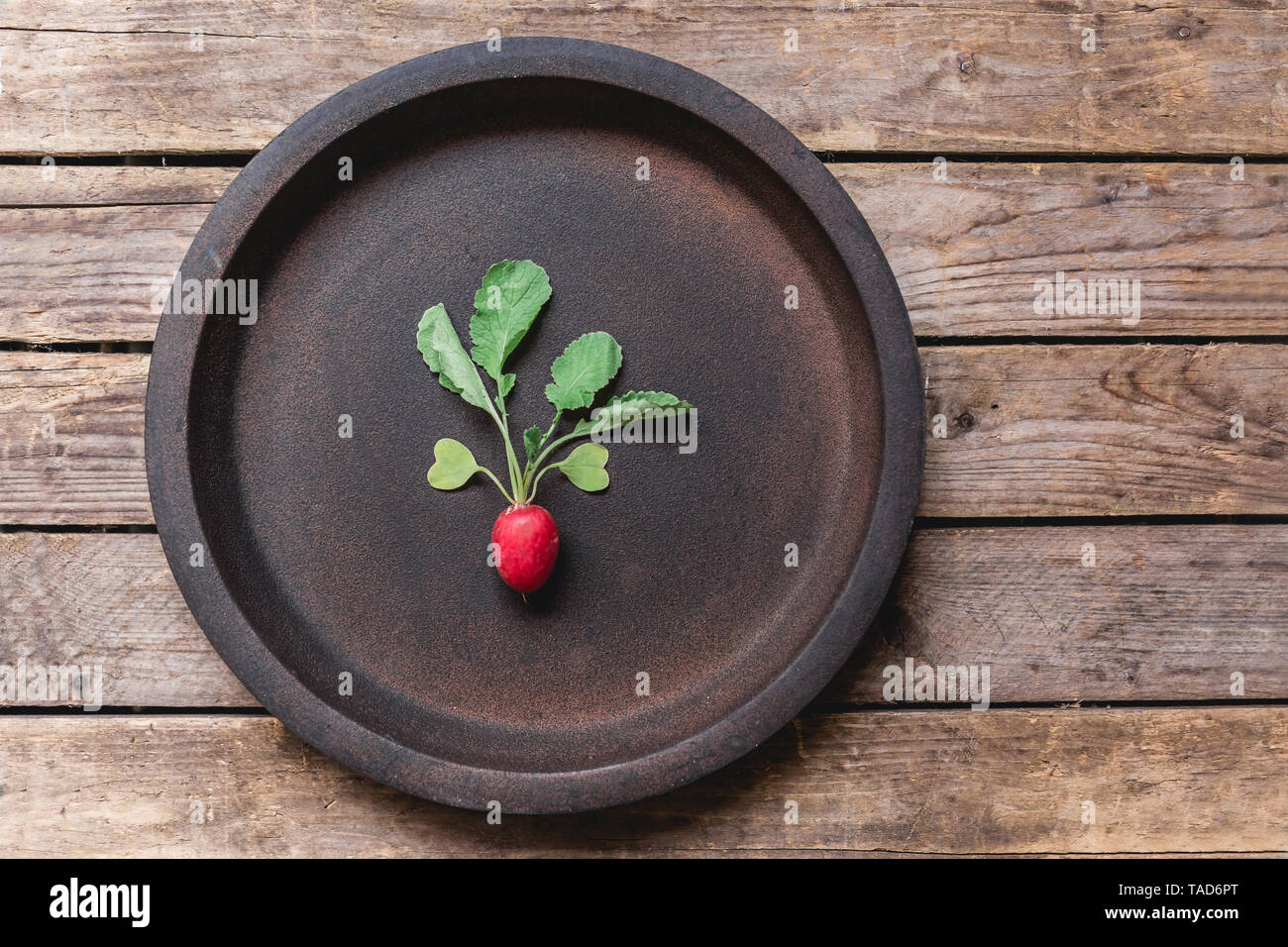 Radish leaves hi-res stock photography and images - Alamy
