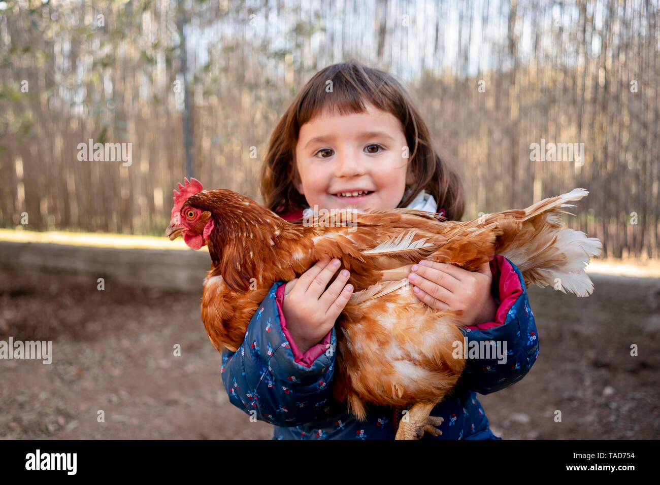 Portrait of happy toddler girl holding chicken Stock Photo - Alamy